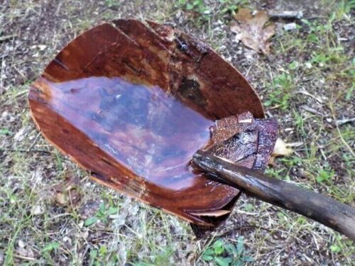 9 Survival Tools You Can Make From Tree Bark