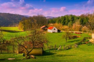 The Ultimate Homesteading Checklist