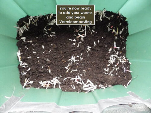 Create Endless Fertilizer for Your Garden With Vermicomposting