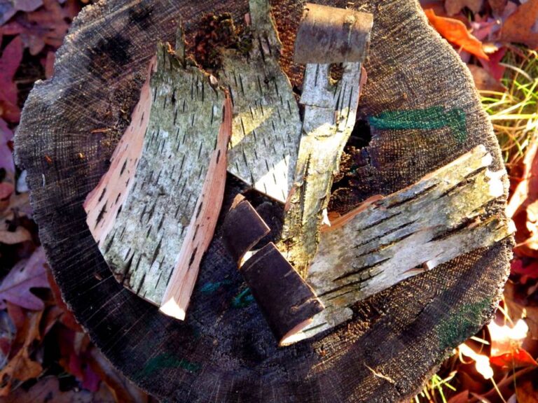 How to Start a Fire Even If The Wood Is Wet