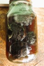 How to Make Black Walnut Tincture