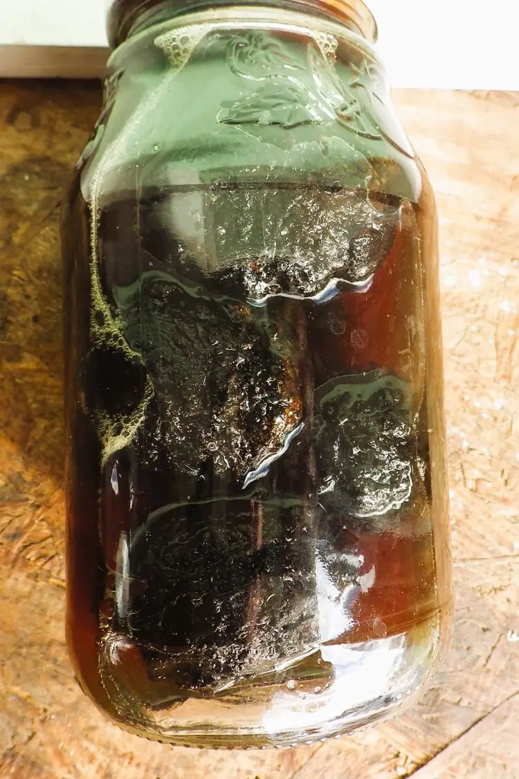 How to Make Black Walnut Tincture