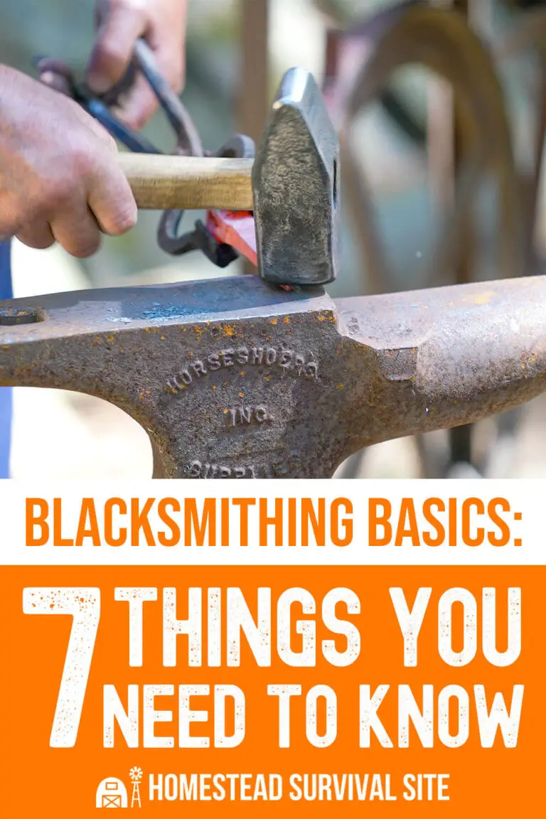 Blacksmithing Basics: 7 Things You Need to Know