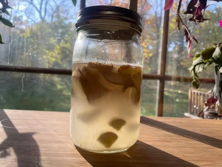 How to Make Ginger Bug - Healthy Homemade Soda