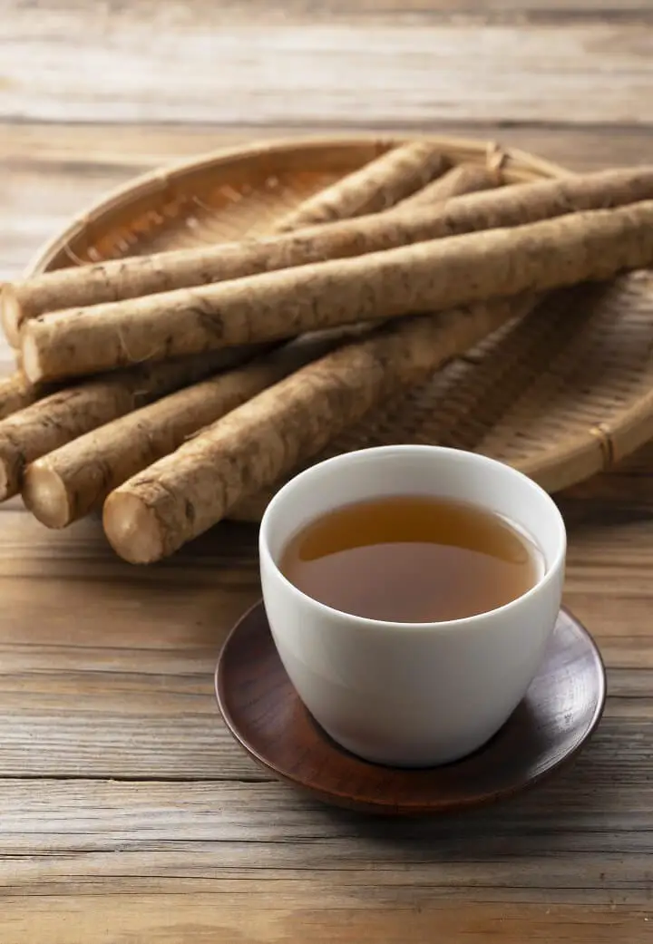 The Burdock Plant: How to Use Every Part