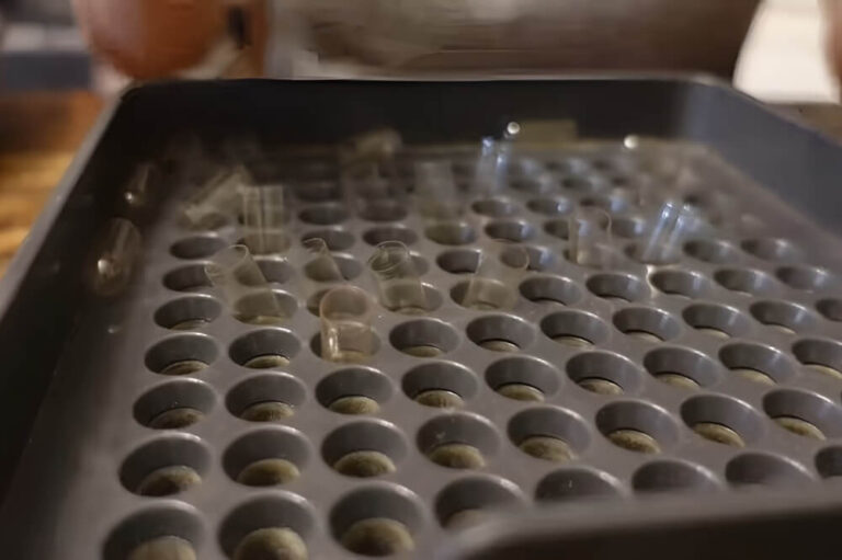 How to Make Herbal Capsules