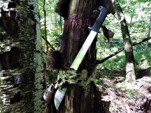 9 Survival Tools You Can Make From Tree Bark