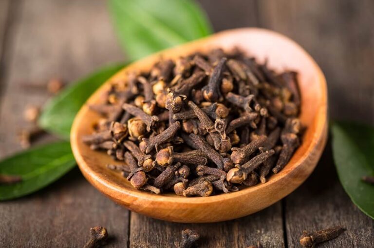 100+ Lost Remedies from Centuries Past