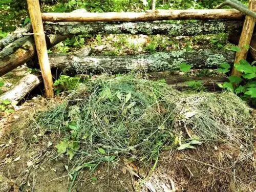 How to Build and Use a DIY Composting Toilet