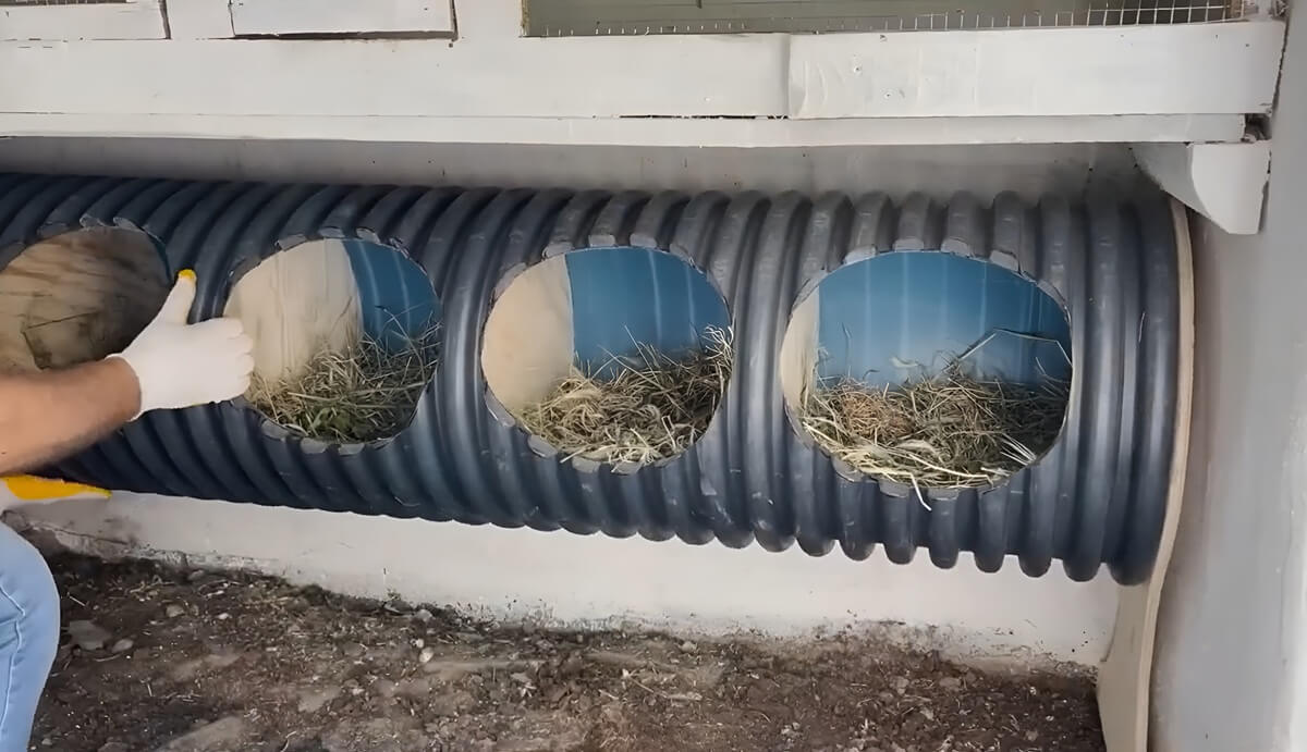 13 Clever Chicken Nesting Boxes