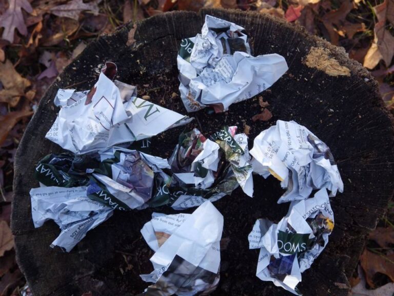 How to Start a Fire Even If The Wood Is Wet