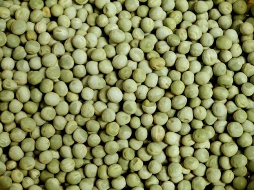 How to Make Flour from Beans, Nuts and Seeds