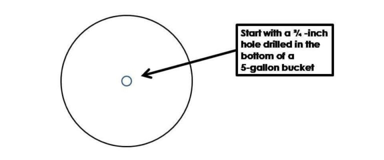 How to Grow Food in Buckets: A Step by Step Guide
