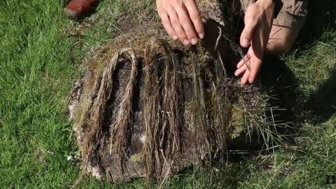 How to Build a Primitive Fishing Kit