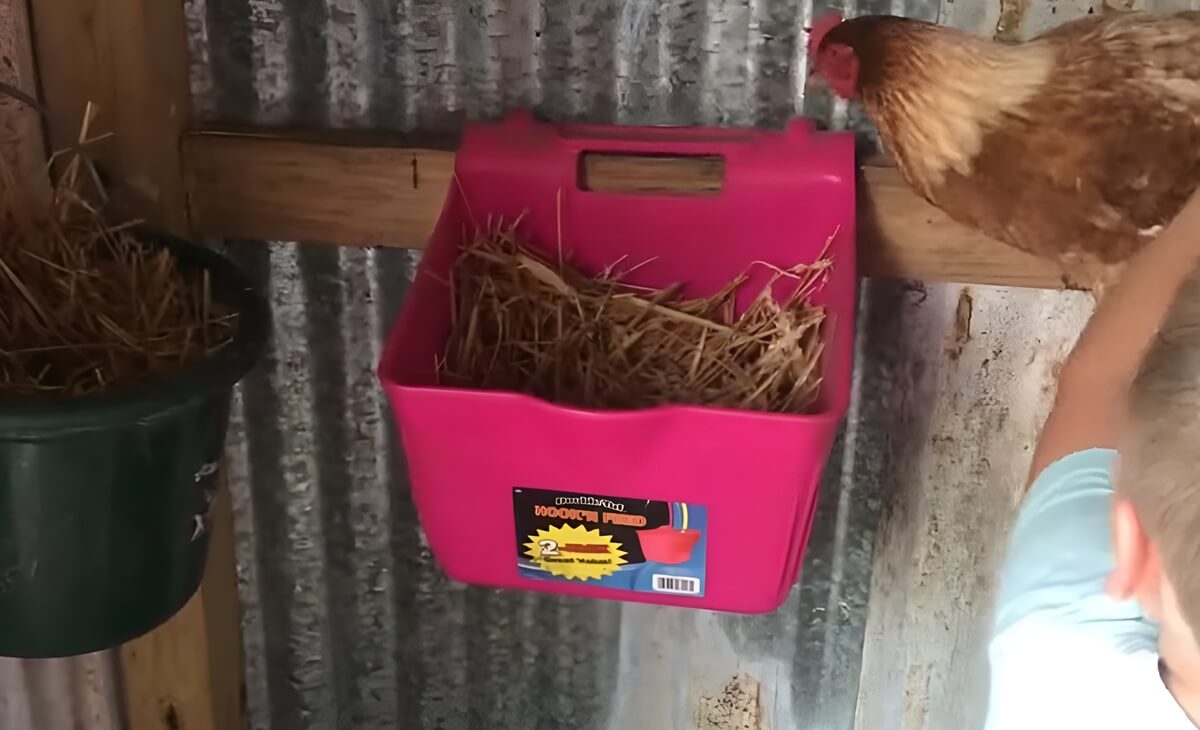 13 Clever Chicken Nesting Boxes