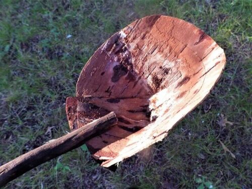 9 Survival Tools You Can Make From Tree Bark