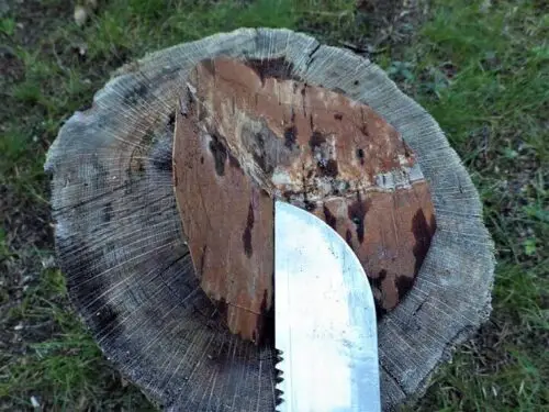 9 Survival Tools You Can Make From Tree Bark