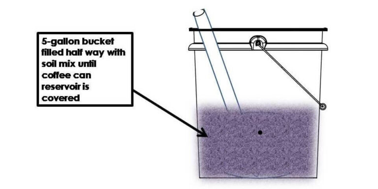 How to Grow Food in Buckets: A Step by Step Guide