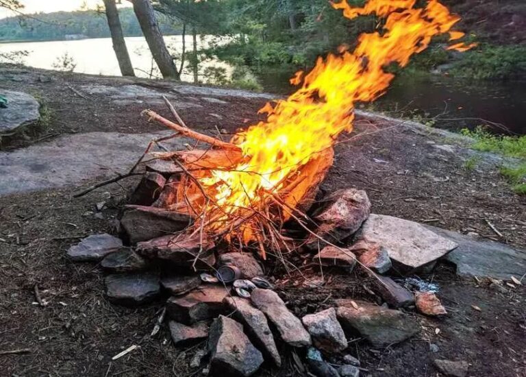 How to Cook a Meal Over a Campfire
