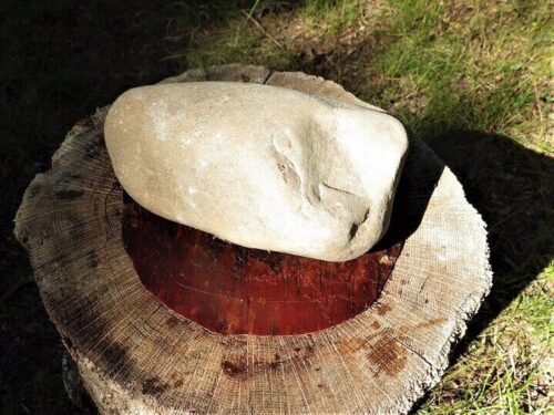 9 Survival Tools You Can Make From Tree Bark