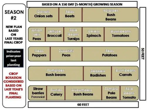 A Strategic Plan for Long-Term Gardening
