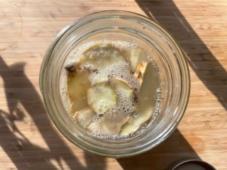 How to Make Ginger Bug - Healthy Homemade Soda