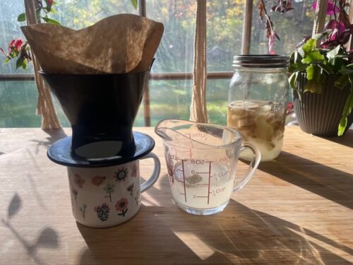 How to Make Ginger Bug - Healthy Homemade Soda