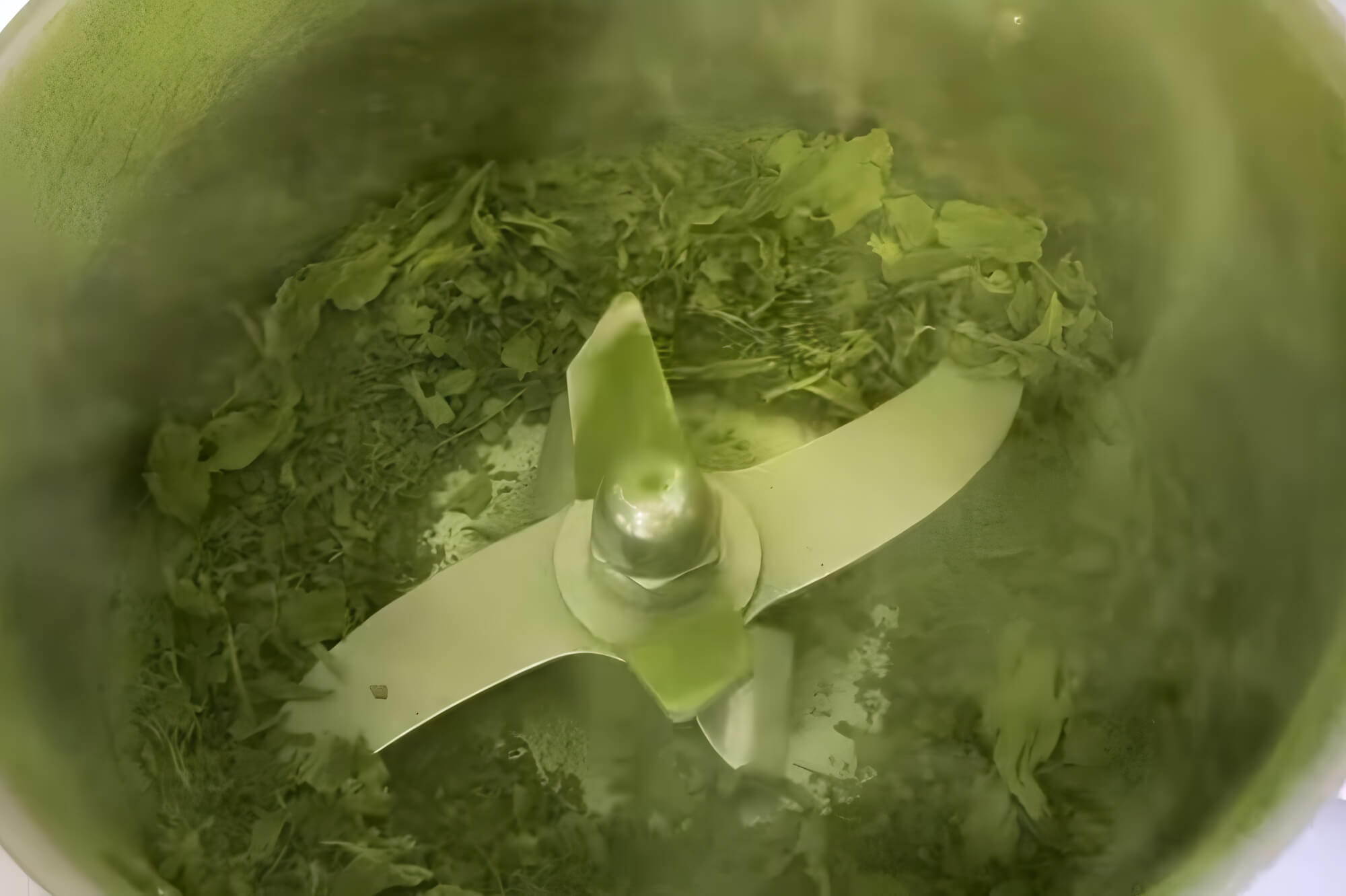 Daily Survival: How to Make Stevia Powder to Replace Sugar