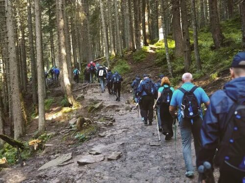 How to Build a Survival Community