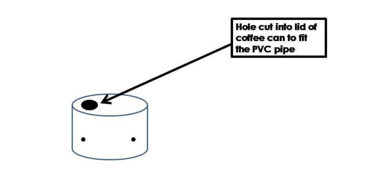 How to Grow Food in Buckets: A Step by Step Guide