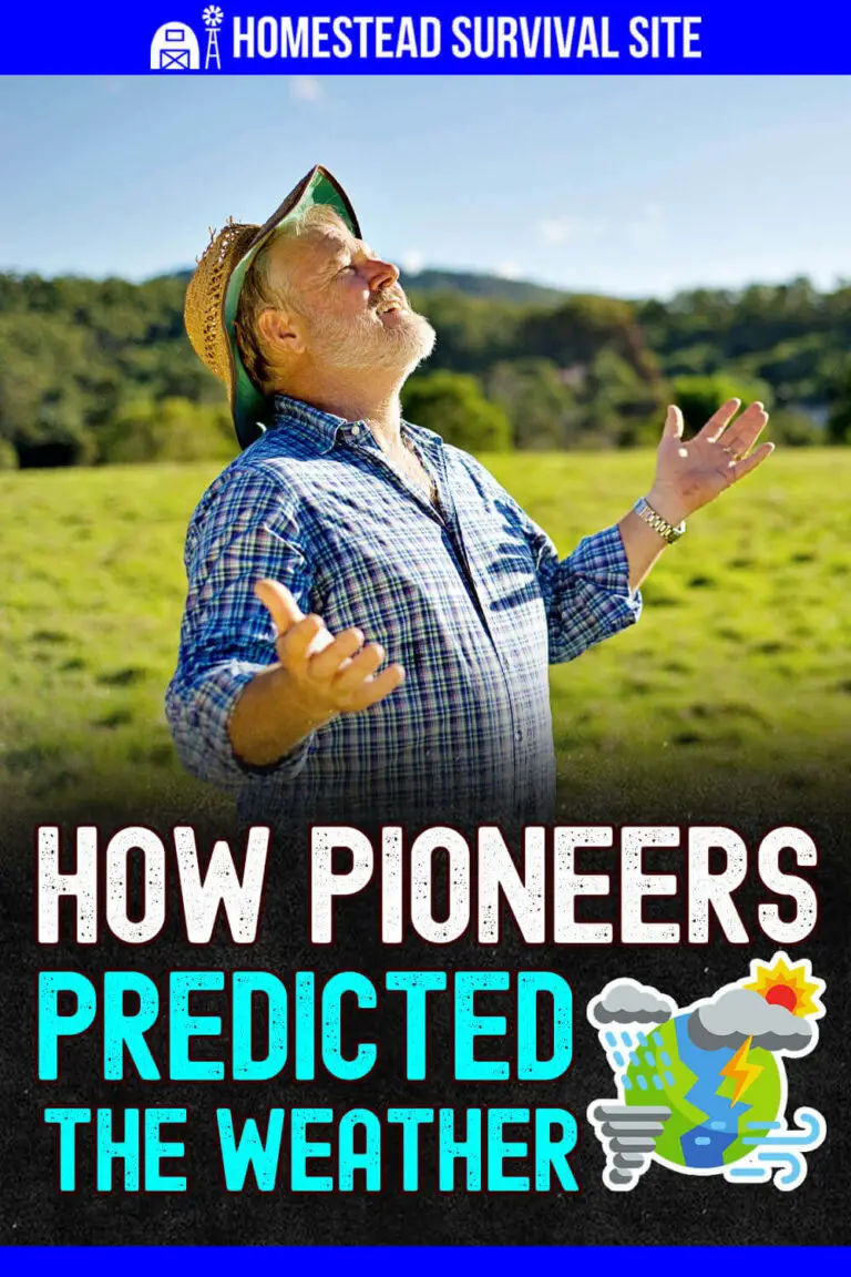 How Pioneers Predicted the Weather