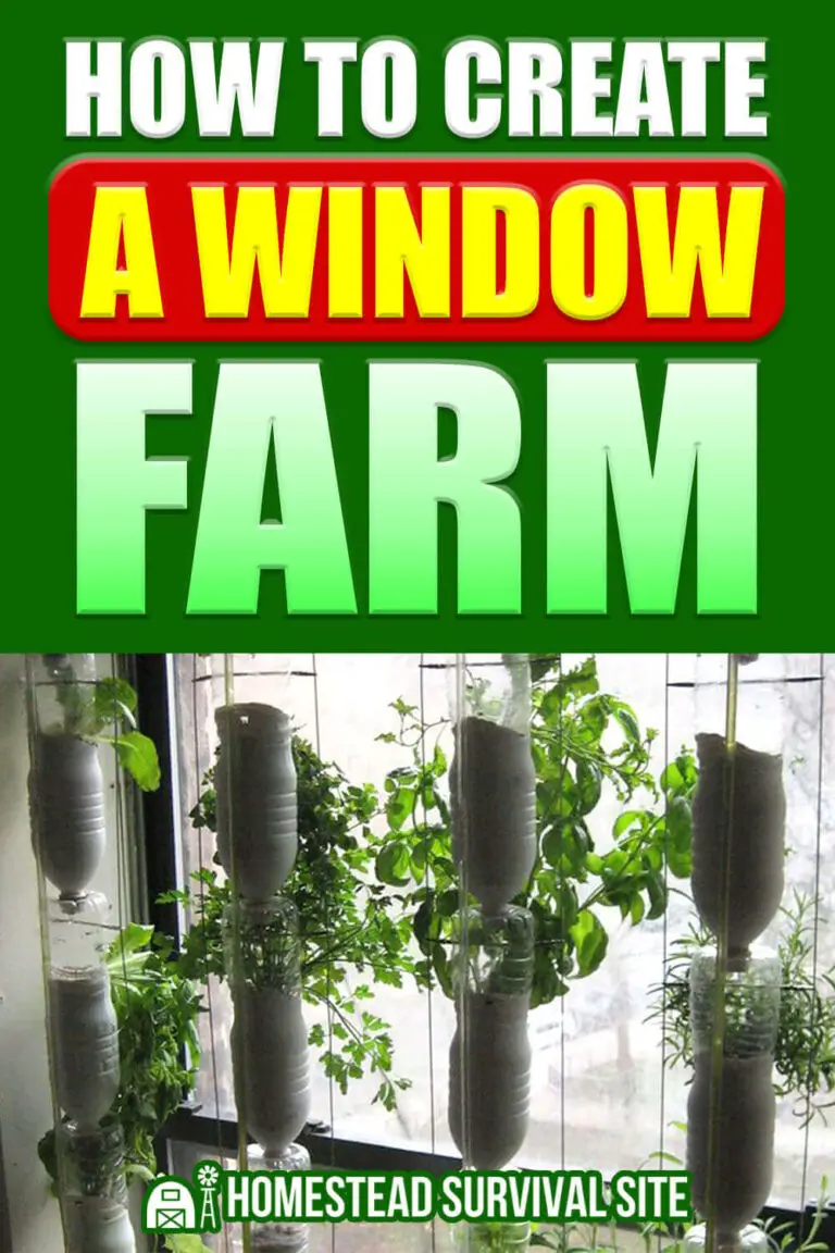 How to Create a Window Farm