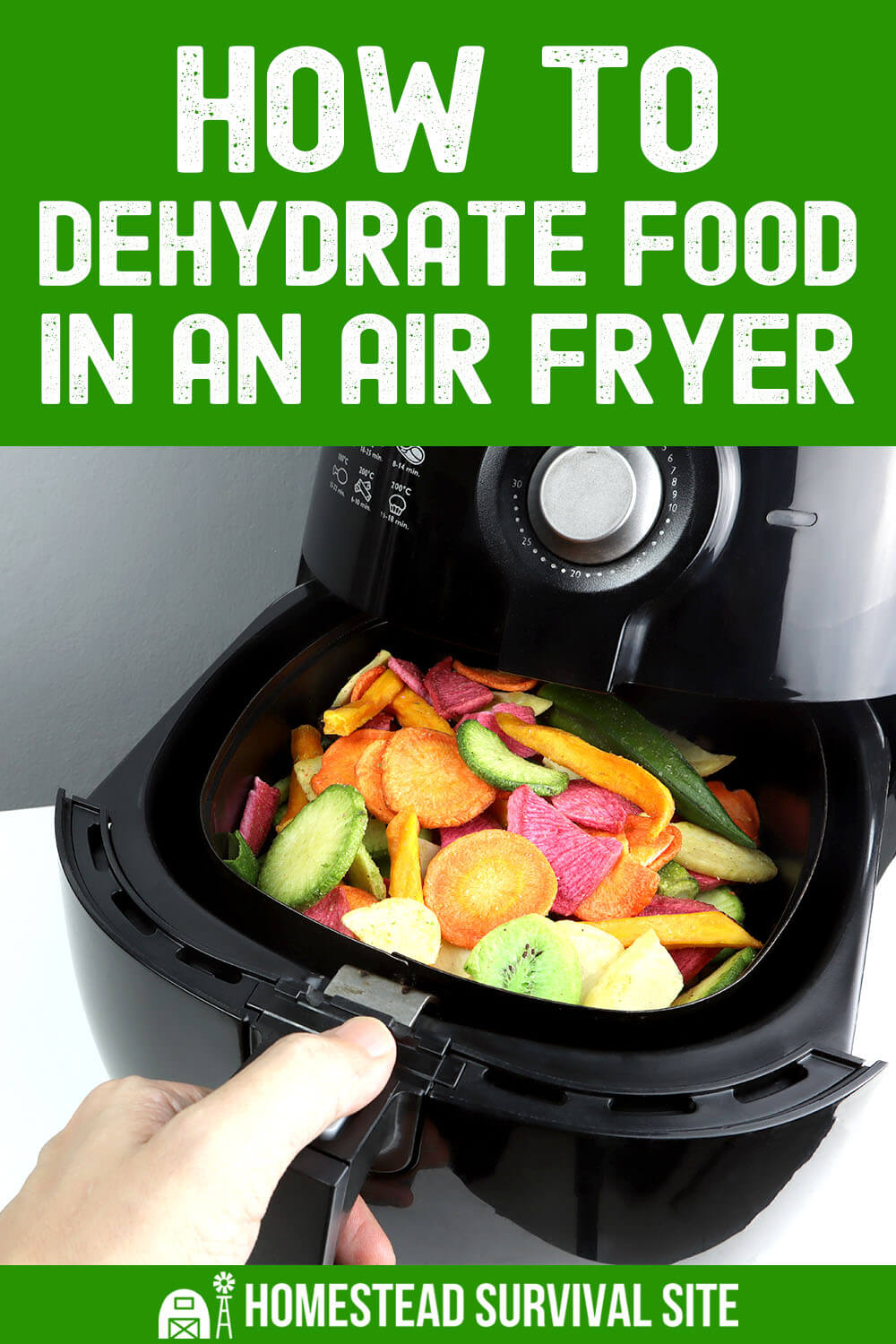 How to Dehydrate Food in an Air Fryer