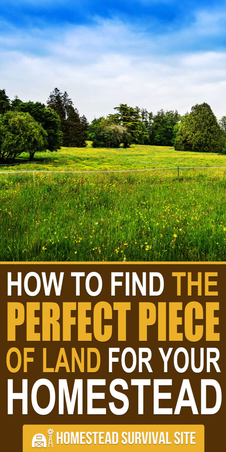 How to Find the Perfect Piece of Land for Your Homestead