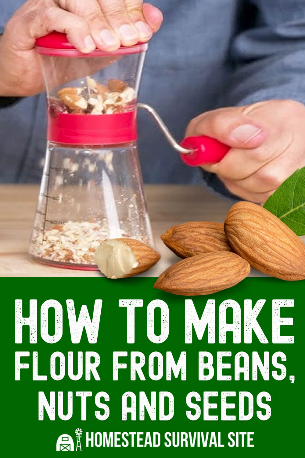 How to Make Flour from Beans, Nuts and Seeds