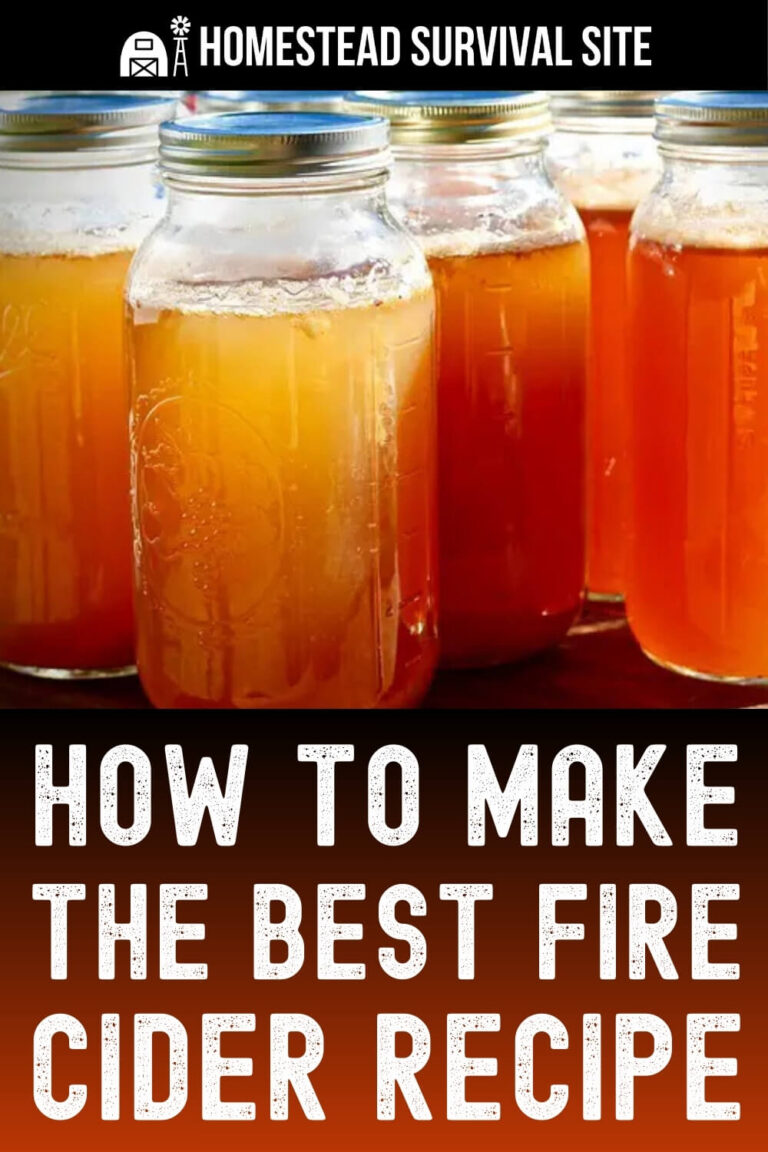 How To Make The BEST Fire Cider Recipe