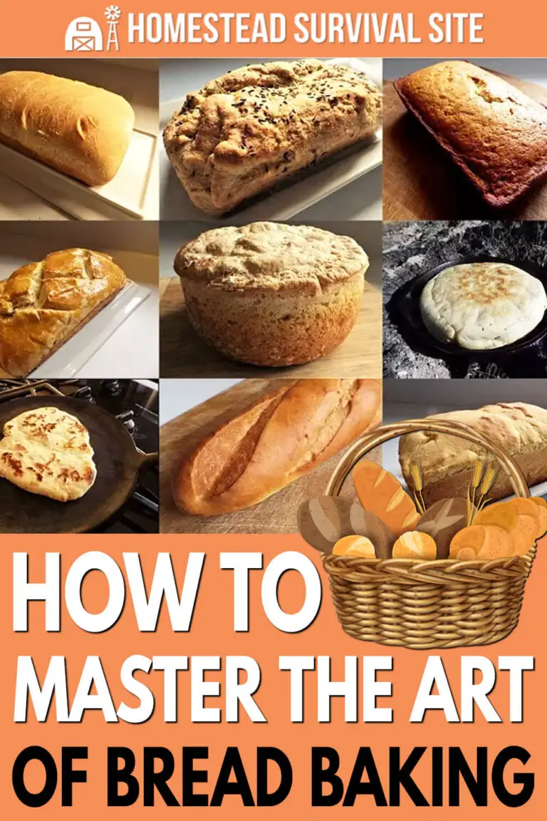 How To Master The Art Of Bread Baking