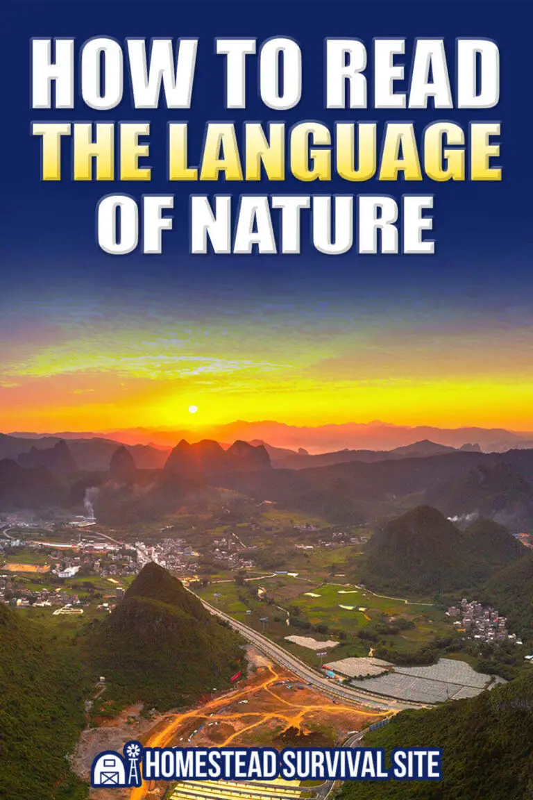 How To Read The Language Of Nature