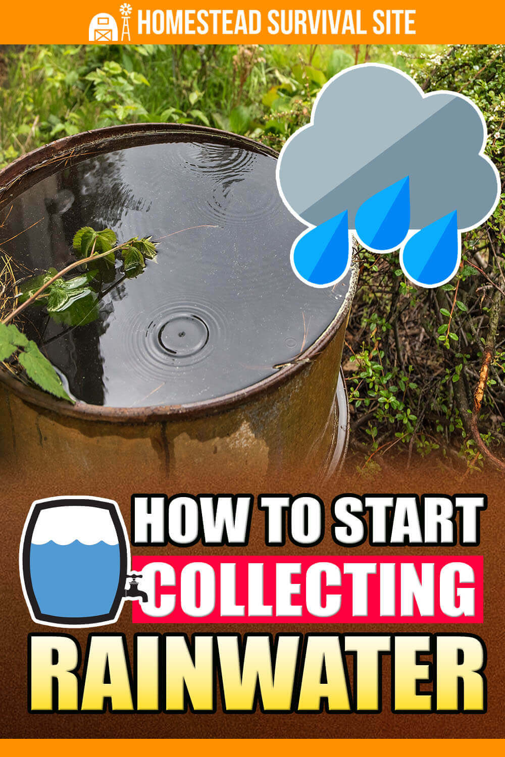 How to Start Collecting Rainwater