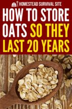 How to Store Oats So They Last 20 Years