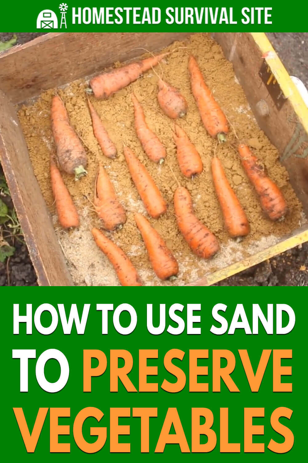 How To Use Sand To Preserve Vegetables