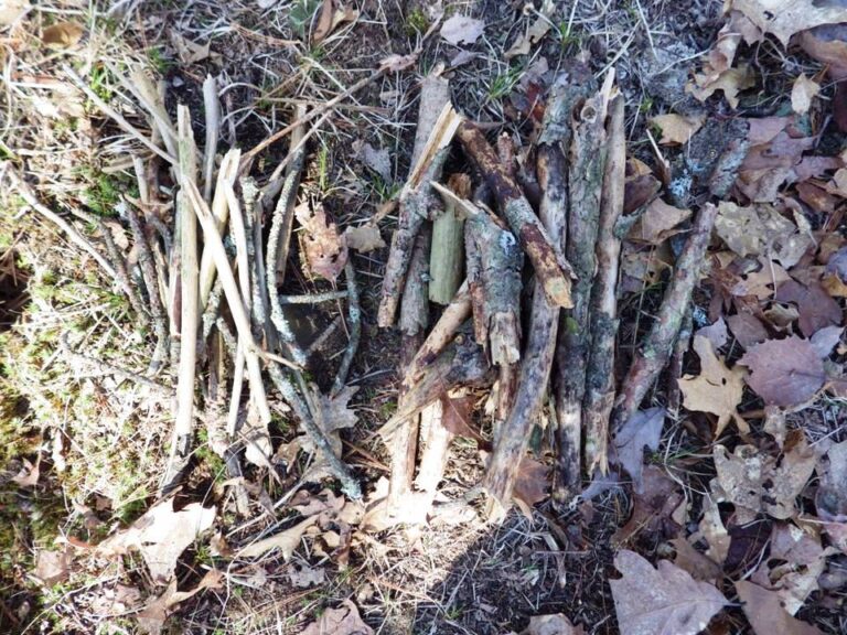 How to Start a Fire Even If The Wood Is Wet