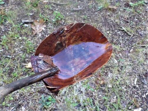 9 Survival Tools You Can Make From Tree Bark