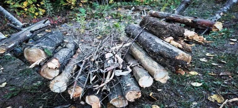How to Build a Self-Feeding Fire