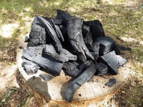 How to Make Charcoal from Scratch