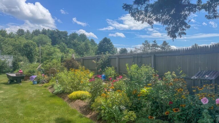 Wild Gardening: Letting Nature Lead The Way