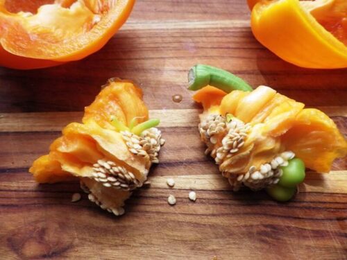 How to Harvest Seeds from Grocery Store Produce