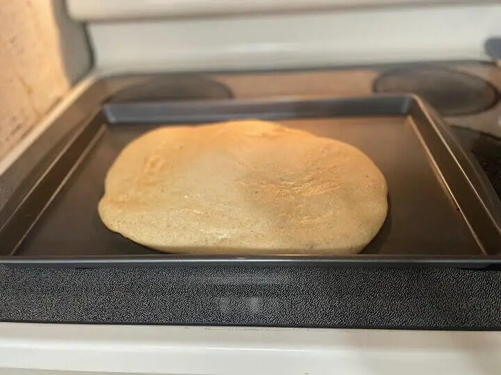 How to Make Poverty Cake (100-Year-Old Recipe)