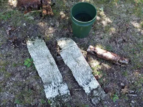 9 Survival Tools You Can Make From Tree Bark