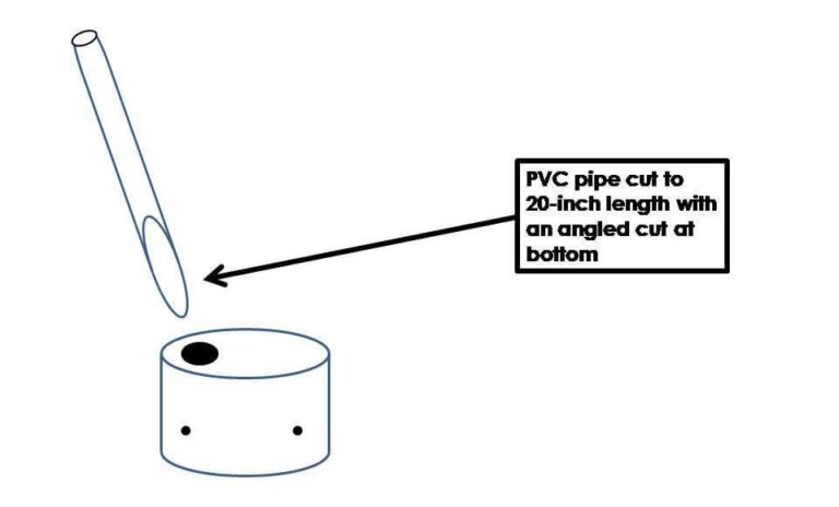 How to Grow Food in Buckets: A Step by Step Guide